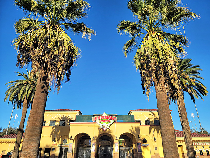 San Manuel Stadium sits beneath towering palm trees, where America's favorite pastime meets California's favorite landscape.