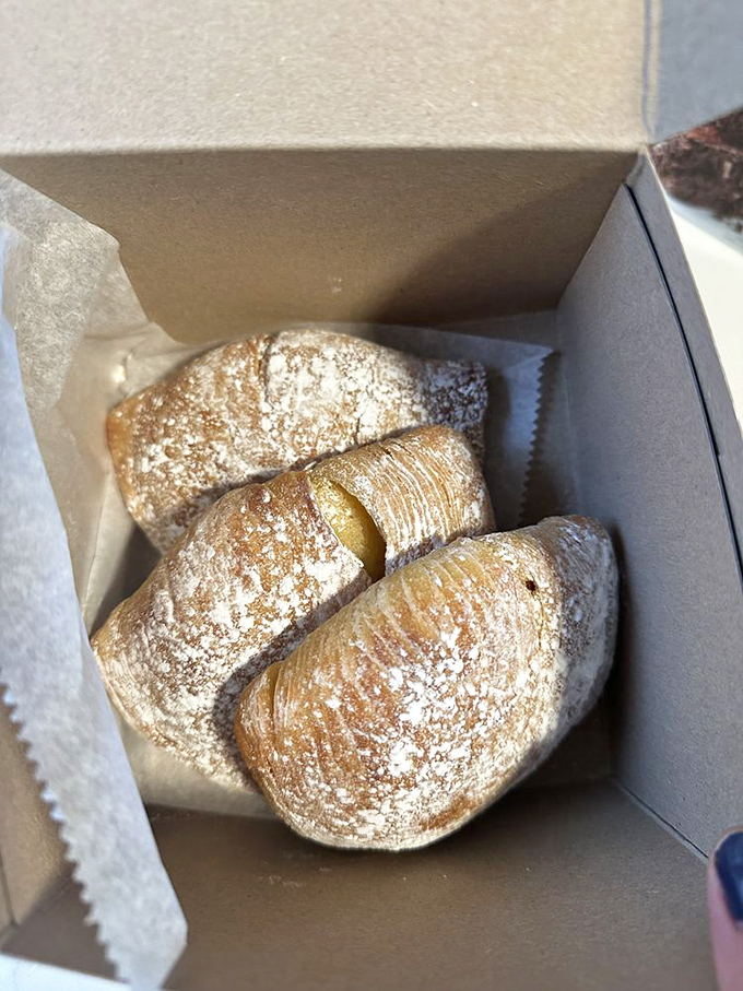 Sfogliatelle: Where "I'll just have one bite" becomes the biggest lie you'll tell yourself today. Flaky, golden, and utterly irresistible.