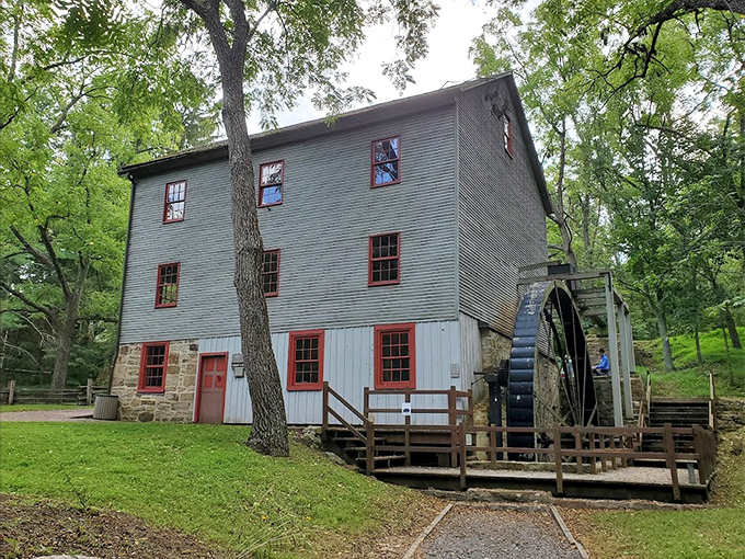 Shoaff's Mill stands as a testament to when "grinding" meant actual flour production, not endless email checking.