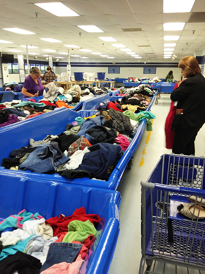 The art of the hunt in action&mdash;seasoned bargain seekers know exactly how to navigate these blue lagoons of possibility.