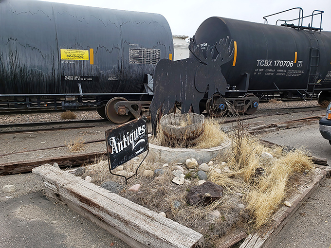 Those train cars outside remind you this place has been moving merchandise since rails ruled the West.