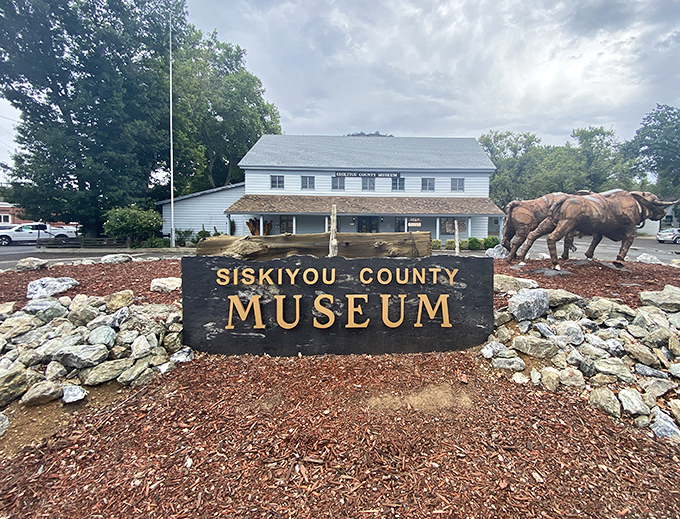 Siskiyou County Museum preserves local heritage with exhibits on mining, indigenous cultures, and pioneer life. History that won't put your wallet through time travel.