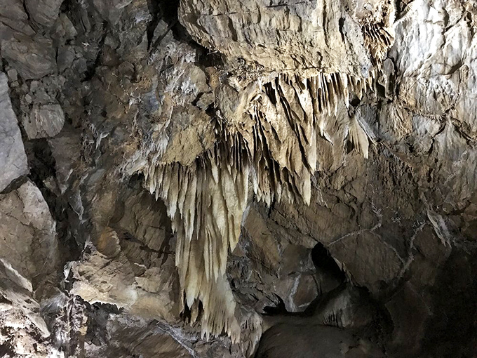 Gravity-defying mineral masterpieces. These formations seem to break the laws of physics, growing in directions that would make Isaac Newton scratch his head.