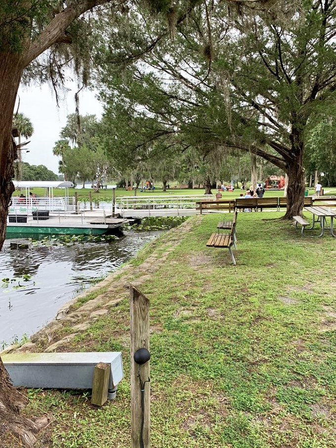 The picnic area along the shoreline offers front-row seats to nature's theater, where the drama of river life unfolds throughout the day.