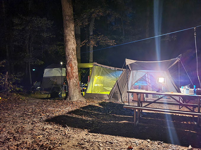 Nighttime camping transforms ordinary tents into glowing sanctuaries. S'mores taste 73% better when eaten under a canopy of stars.