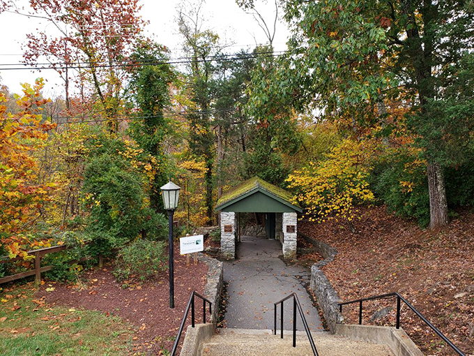Fall foliage frames this charming entrance pavilion, creating the perfect seasonal gateway to adventure&mdash;no filter required.