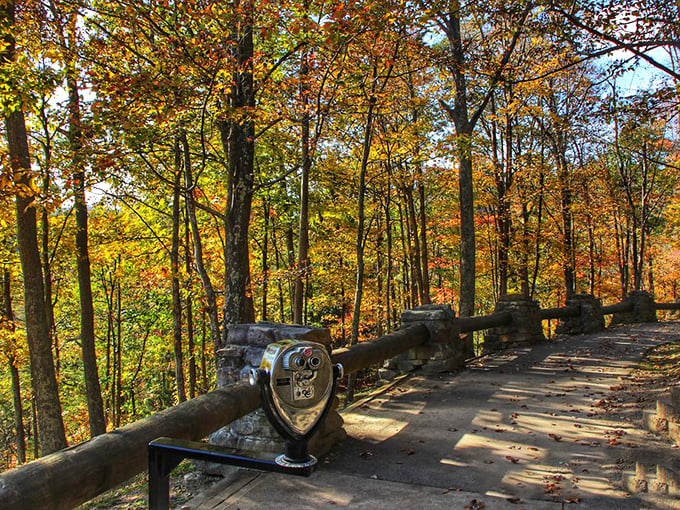 Nature's autumn palette on full display, with coin-operated binoculars ready to zoom in on distant details across the spectacular gorge.