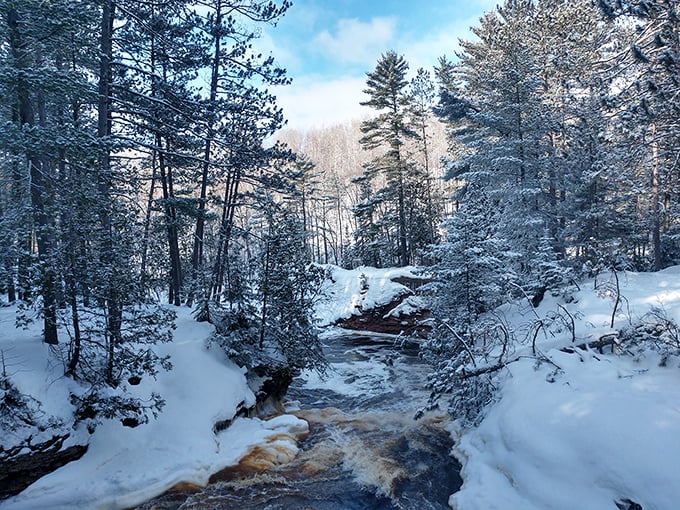 Winter transforms Amnicon into a crystalline wonderland where the normally amber waters peek through snow-covered banks like a secret being revealed.