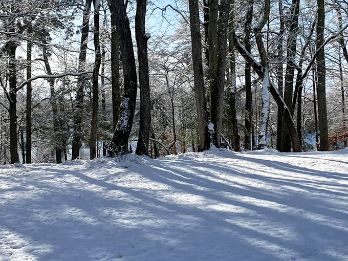 Winter transforms the park into a hushed snow globe &ndash; same trees, completely different magic, zero crowds.