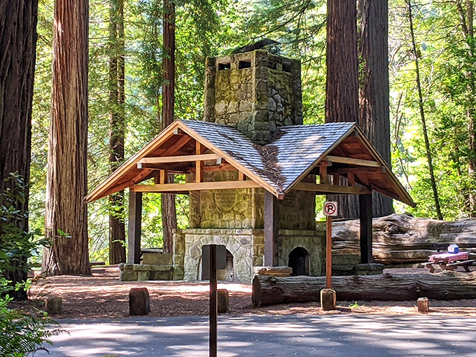 Stone fireplace that's seen more s'mores than a summer camp reunion. This picnic shelter offers woodland dining with five-star forest views.