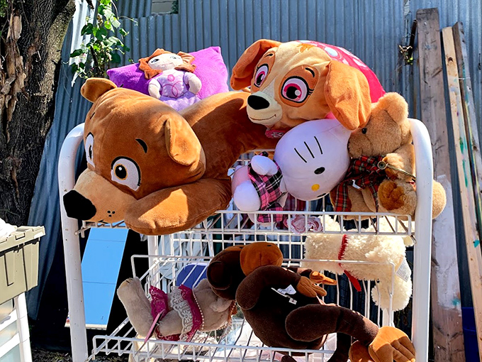 Stuffed animals enjoying their retirement years, patiently waiting for second chances at cuddles in new homes.