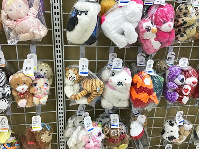 Stuffed animal adoption center where $5.99 brings home a new fuzzy friend with all the love and none of the vet bills.
