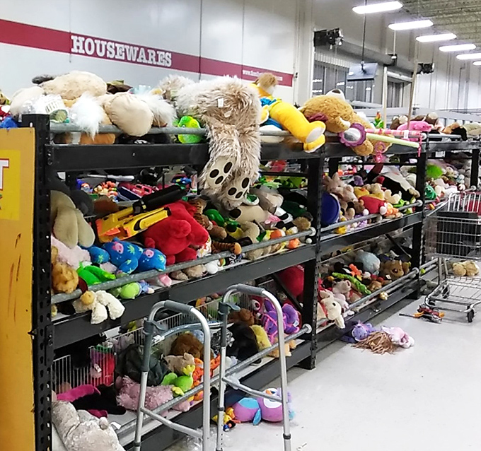 Stuffed animal adoption center extraordinaire. These gently-loved fuzzy friends are priced so low, you'll feel like you're rescuing them from a bargain bin.