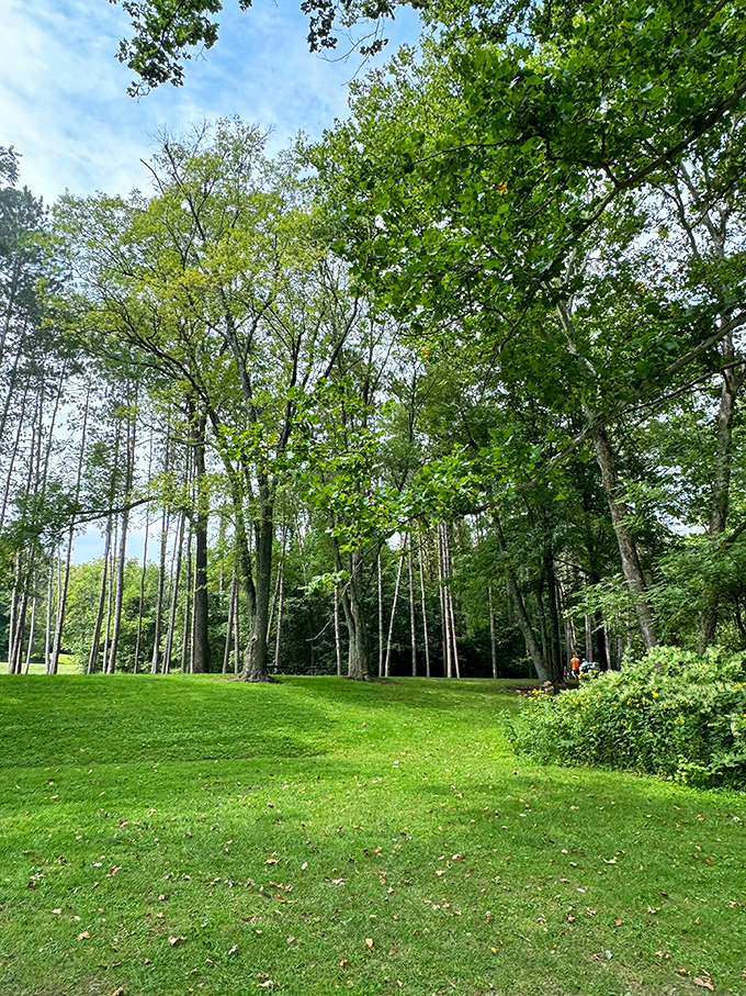 Summer's embrace turns the park into a cathedral of green, where sunlight filters through leaves like stained glass windows.