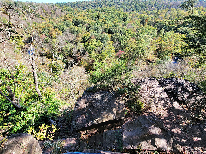 High Rocks vista offers a breathtaking panorama of Bucks County's wilderness. Worth every step of the climb and every bead of sweat.