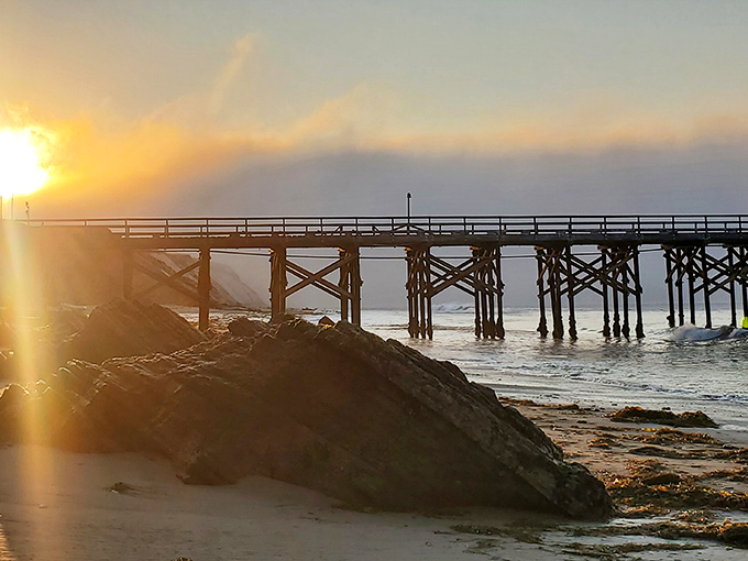 Golden hour at the pier transforms ordinary wood and water into something that belongs on a gallery wall somewhere expensive.