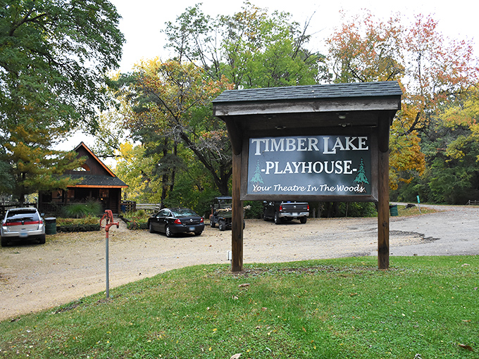 "Your Theatre in the Woods" isn't just clever marketing; it's an accurate description of professional entertainment in an unexpected location.