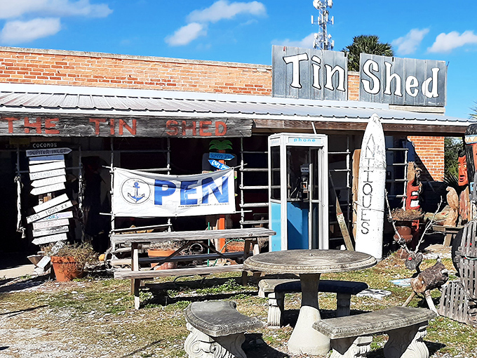 The Tin Shed embodies Florida's delightful contradiction—a carefully curated "mess" that somehow feels exactly right for coastal browsing.