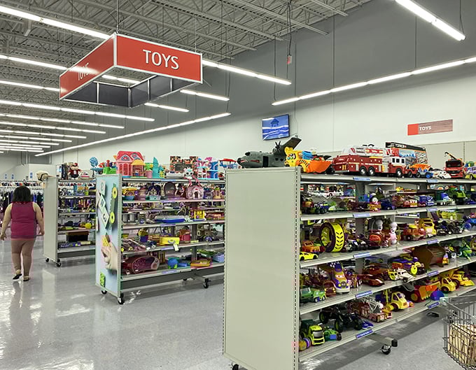 Toy nirvana where plastic dreams await new adventures—proof that joy doesn't require Amazon Prime or batteries included.