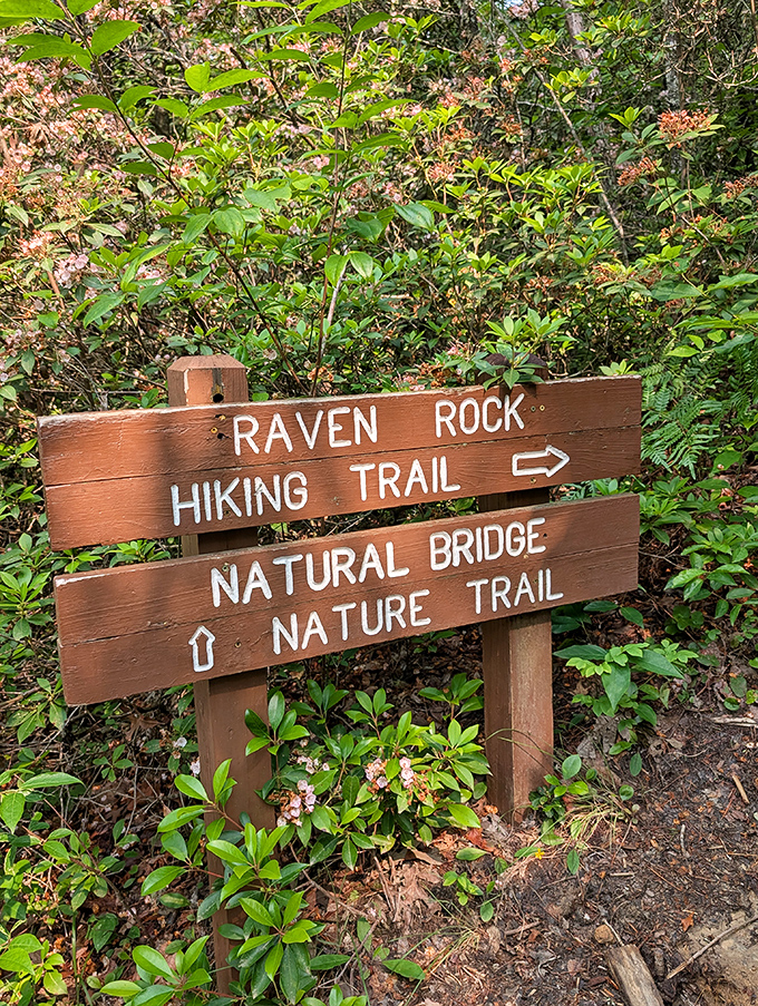 Trail signs that point to possibilities: Raven Rock for the ambitious, Natural Bridge for the curious. Choose your own adventure, no downloading required.