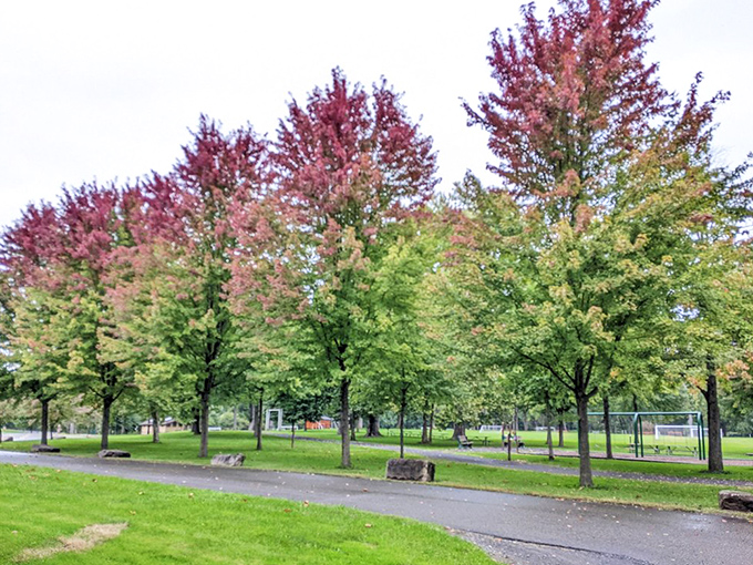 Parking with a view &ndash; where your car gets the VIP treatment while you wander off to discover riverside trails.