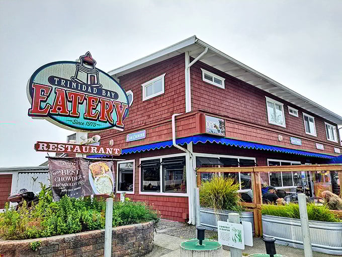 The Trinidad Bay Eatery's cedar-shingled charm promises the kind of coastal comfort food that makes you want to cancel your return ticket home.