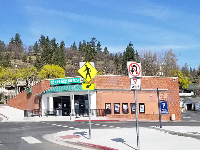 Local movie theaters keep the tradition alive: big screens, real popcorn, and neighbors you might actually recognize.
