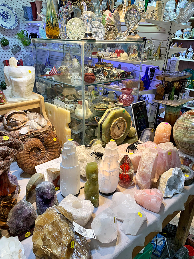 A dazzling crystal kingdom where amethysts, quartz, and geological wonders transform ordinary shelves into a natural history museum of sparkle.