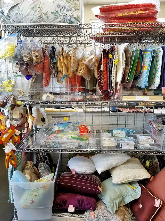 Craft supplies, pillows, and fabric remnants create a DIY paradise where Pinterest dreams come true without emptying your wallet.