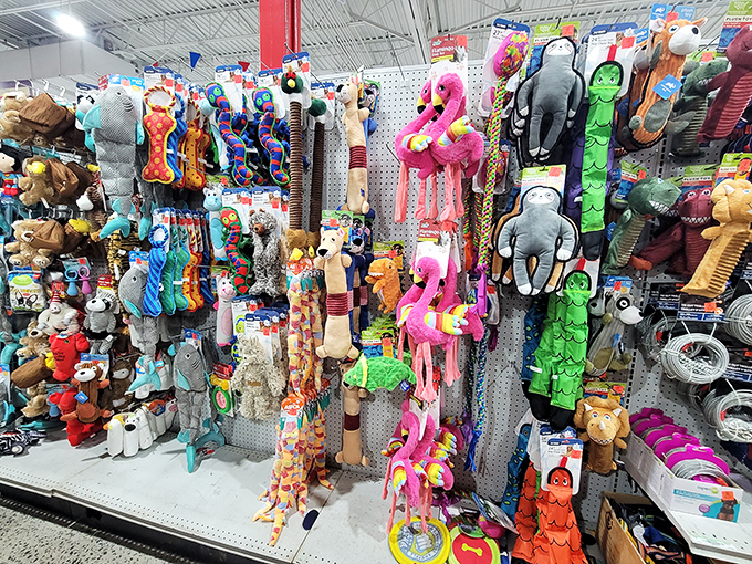 The toy aisle: where colorful stuffed animals hang like exotic fruits in a jungle of savings. Kids' eyes grow as wide as their parents' smiles.