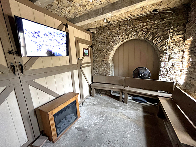 Even castles need modern amenities. This room blends stone walls with contemporary comforts, proving the Middle Ages could have used a good TV.