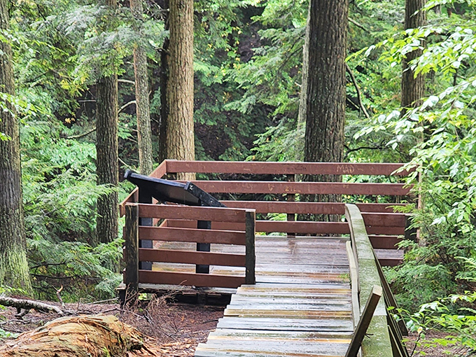 The viewing deck offers front-row seats to nature's greatest show&mdash;no tickets required, just comfortable shoes and an appreciative eye.