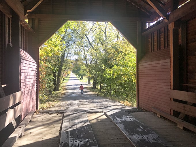 Looking outward from within&mdash;the bridge frames the path ahead like a living painting. Light at the end of the tunnel never looked so inviting.