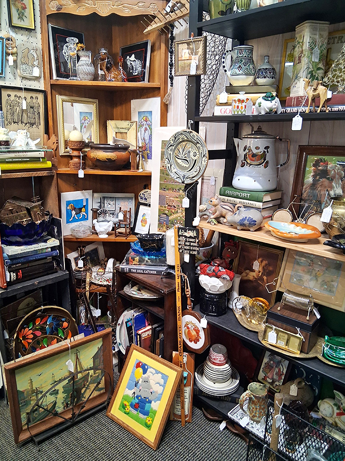 Every shelf tells a story in this carefully curated corner. The art of organized chaos creates a treasure hunter's paradise.