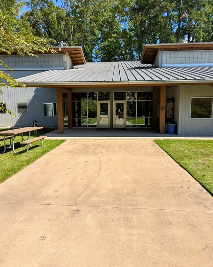The visitor center welcomes explorers with clean lines and natural light. It's the perfect gateway to your millpond adventure.
