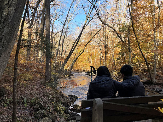 The perfect spot for contemplation: Riverside benches offer front-row seats to nature's ever-changing show. No tickets required!