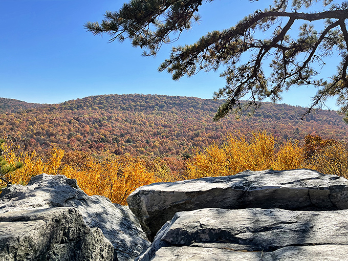 Nature's autumn fashion show&mdash;where the mountains dress in their Sunday best and rocks provide front-row seating.
