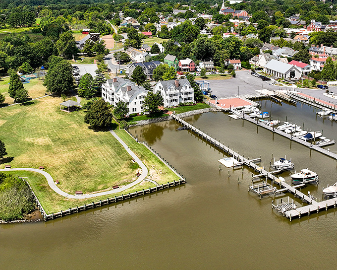 The Chester River embraces the town with gentle waters perfect for sailing, kayaking, or simply watching the tide while contemplating absolutely nothing important.