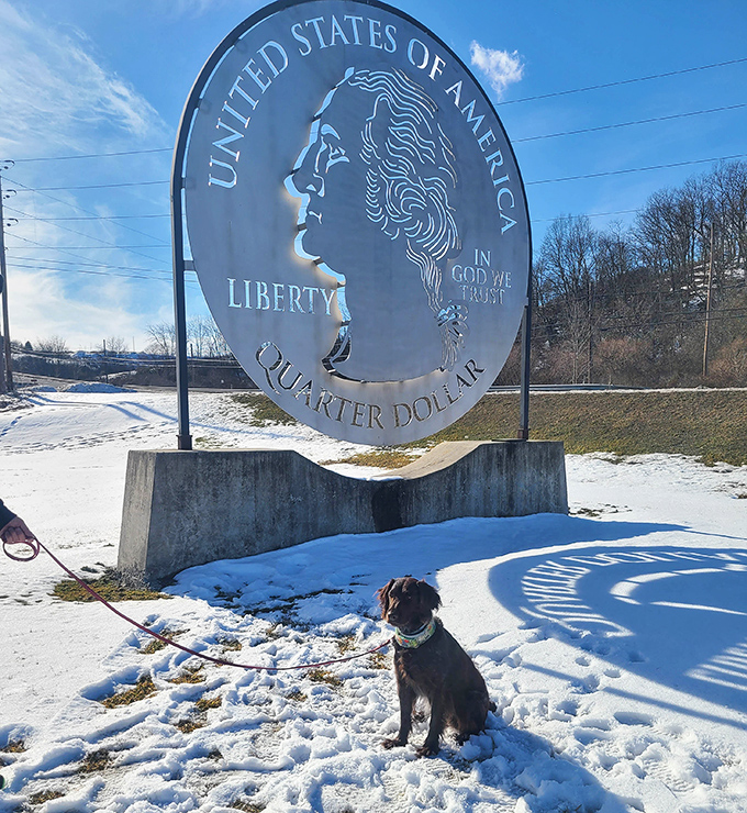 Winter transforms the Giant Quarter into a snow-framed masterpiece. This pup seems thoroughly unimpressed by numismatic novelty.