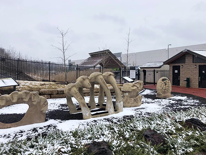 Even in winter, the dinosaur bone replicas stand sentinel against a dusting of snow. Prehistoric Maryland meets Ice Age aesthetics!