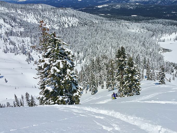 Winter's masterpiece: A snow-covered landscape that transforms familiar terrain into a pristine wilderness worthy of a holiday card.