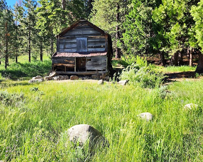 Historic cabins dot the landscape, reminding visitors that people have been seeking this mountain peace for generations.