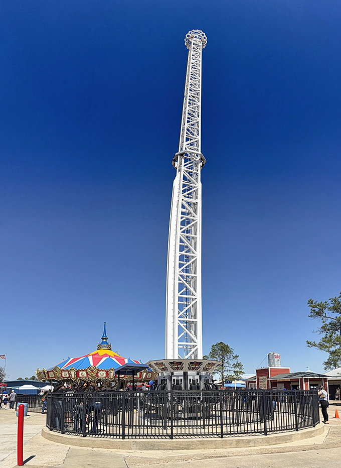 Reaching for the Texas sky, this towering ride adds an adrenaline rush to your bargain hunting expedition. Shopping with a side of screams!
