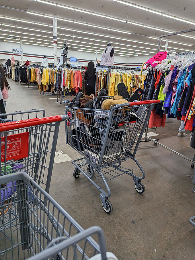 Shopping carts filled with potential. Like modern-day prospectors, these thrifters know the value of what others have overlooked.