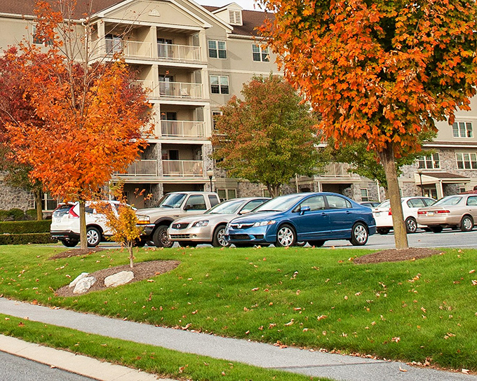 Autumn transforms the apartment complex into a scene that makes even non-photographers reach for their phones.