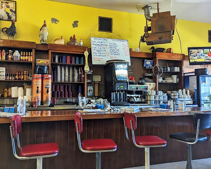 Bar seating where solo diners become philosophers over coffee and the daily special.