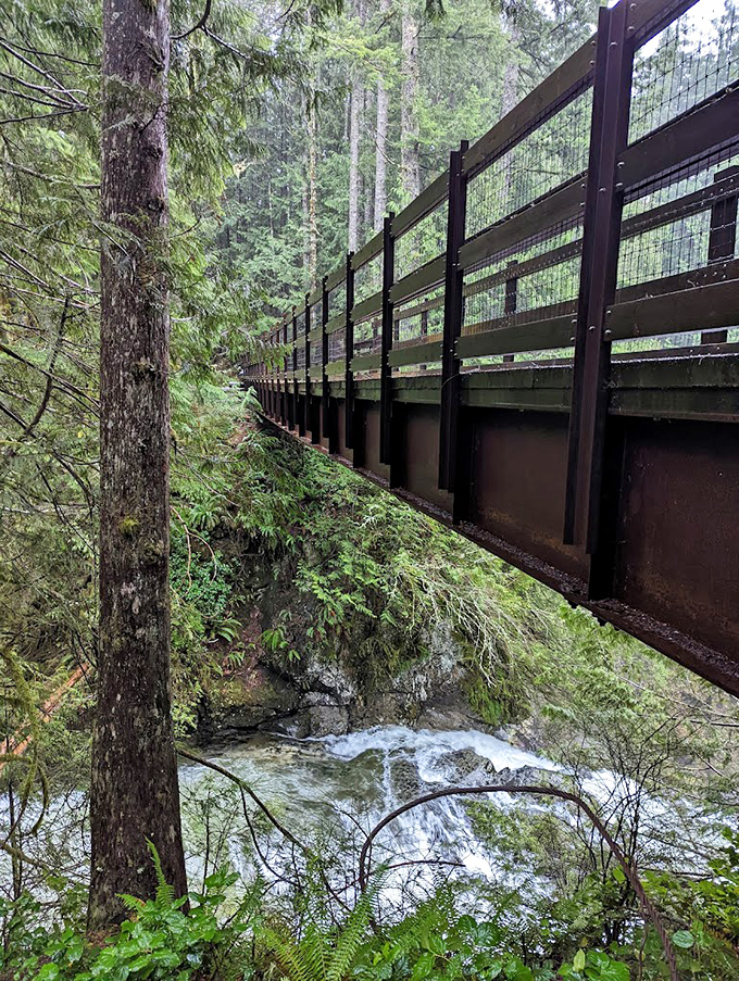 Engineering meets enchantment as this sturdy bridge carries hikers safely above the tumbling waters that have carved this landscape for millennia.