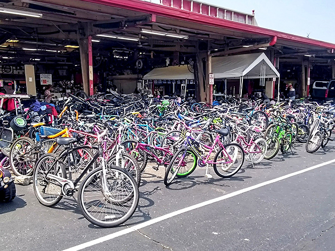 Bicycle bonanza! From first-time riders to vintage collectors, this two-wheeled treasure trove has enough inventory to outfit the Tour de Ohio.