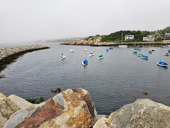 Morning fog plays hide-and-seek with the harbor, where boats wait patiently like commuters at the world's most picturesque bus stop.