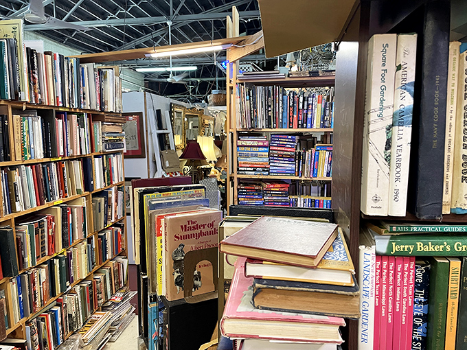 Literary treasures stacked floor to ceiling—a bibliophile's dream come true. Spot that copy of "The History of Sunnybank" peeking out among countless spines.